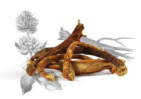 Liquore alla Genzianella Fatto in Casa: La Ricetta Segreta che Non ...